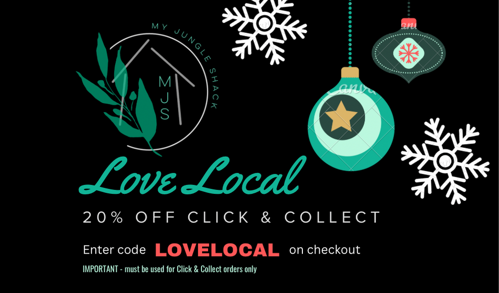 My Jungle Shack | Indoor Plants