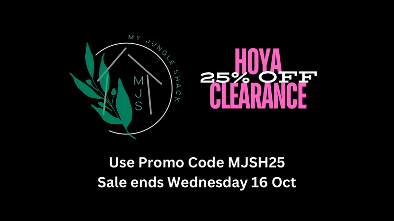 My Jungle Shack | Indoor Plants