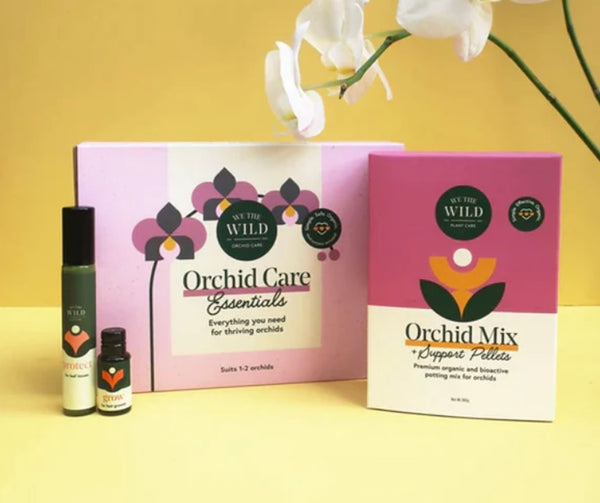 We The Wild - 'Orchid Care Kit' - My Jungle Shack