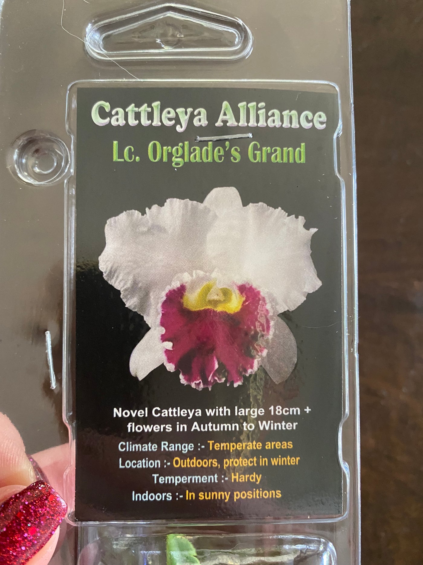 All - My Jungle Shack